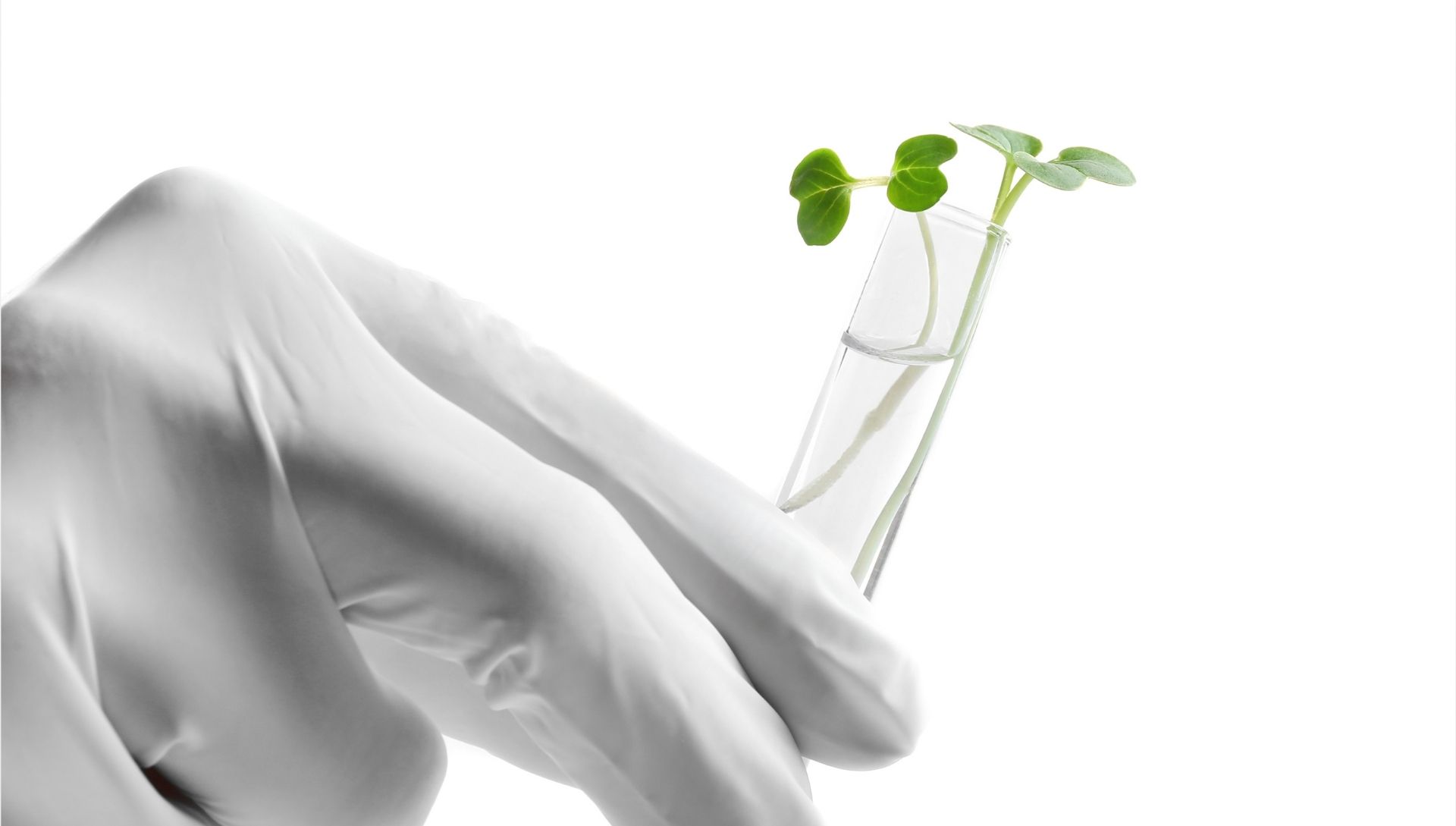 Bangalore Bioinnovation Centre (BBC) | Nurturing Biotech Startups